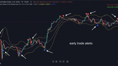 Dynamic Bands For TradingView - Indicator Vault